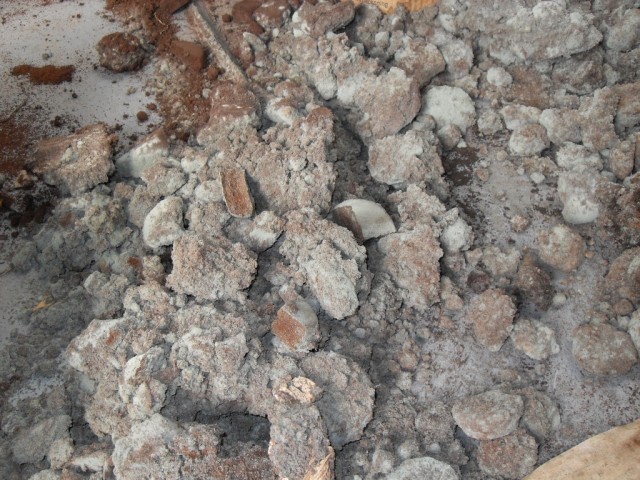 Discovering Mould Growth in Used Coffee Grounds – Tips for Handling ...