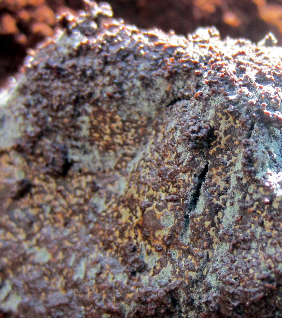 coffee-grounds-mold-colors – Ground to Ground