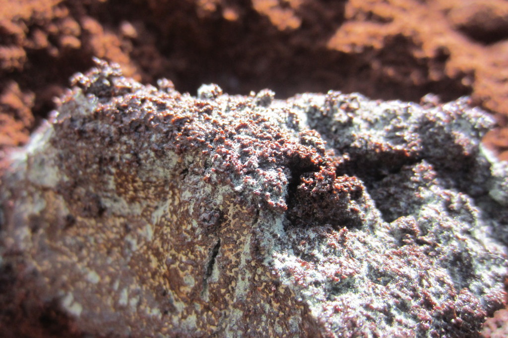 mold coffee grounds – Ground to Ground