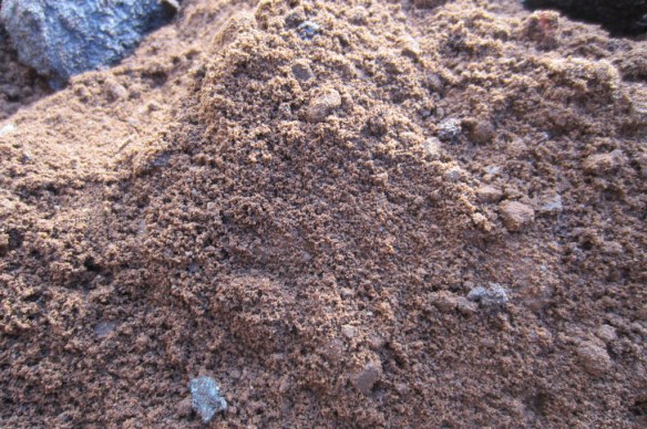 Ground to Ground | Serving Coffee Grounds for Gardens since 2010