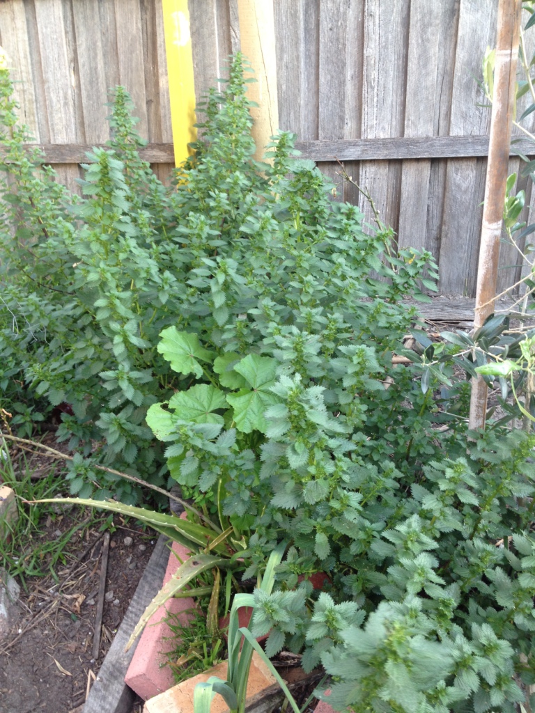 The Joy of Springtime in the Garden – Ground to Ground