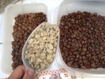 The Amazing Opportunitites in Coffee Pulp Recycling – Ground to Ground