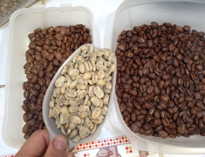 The Amazing Opportunitites in Coffee Pulp Recycling – Ground to Ground