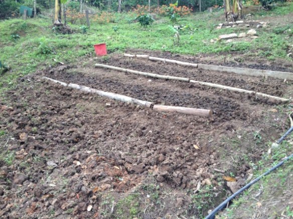 The Amazing Opportunitites in Coffee Pulp Recycling | Ground to Ground